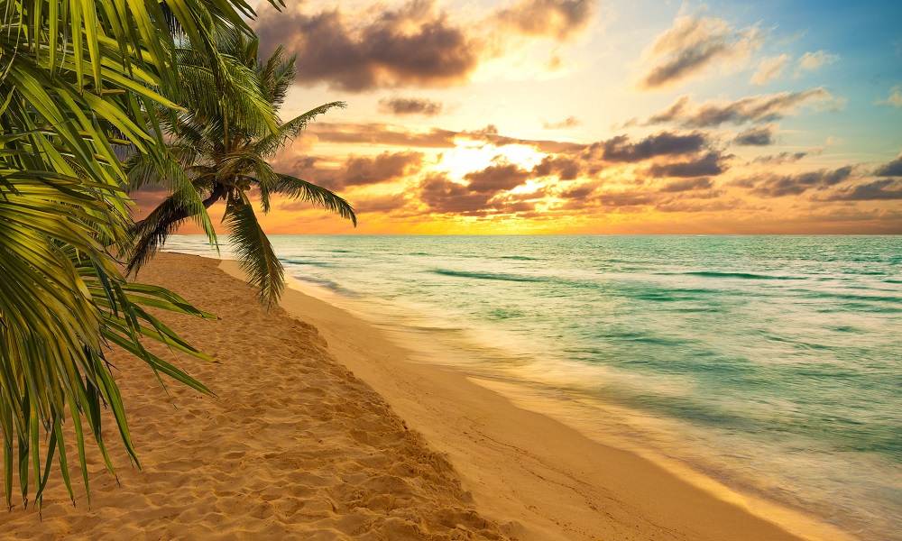 Montréal Riviera Maya Tout Inclus Mexique | Transat