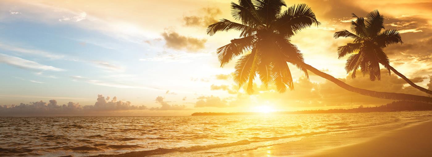 Forfaits voyages tout inclus | Transat